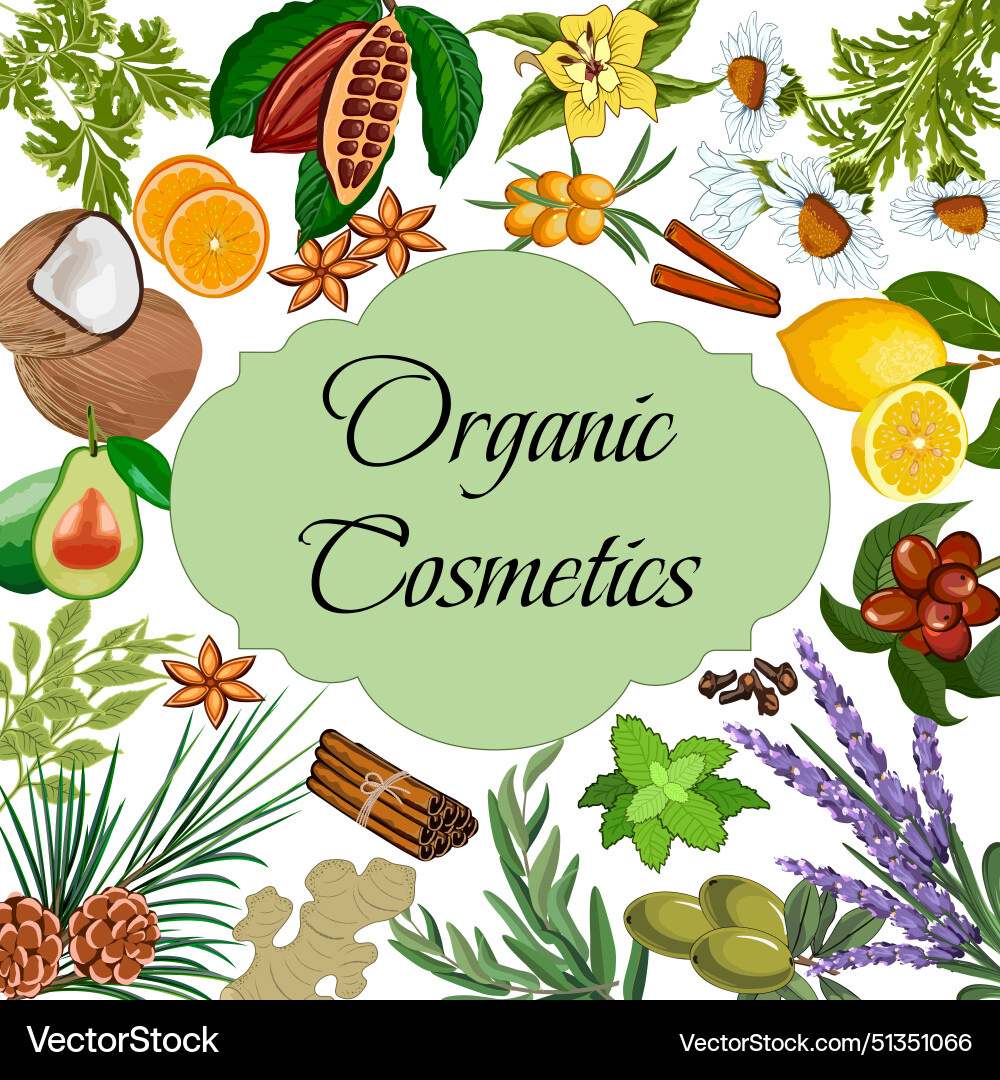 Plants for organic cosmetics Royalty Free Vector Image