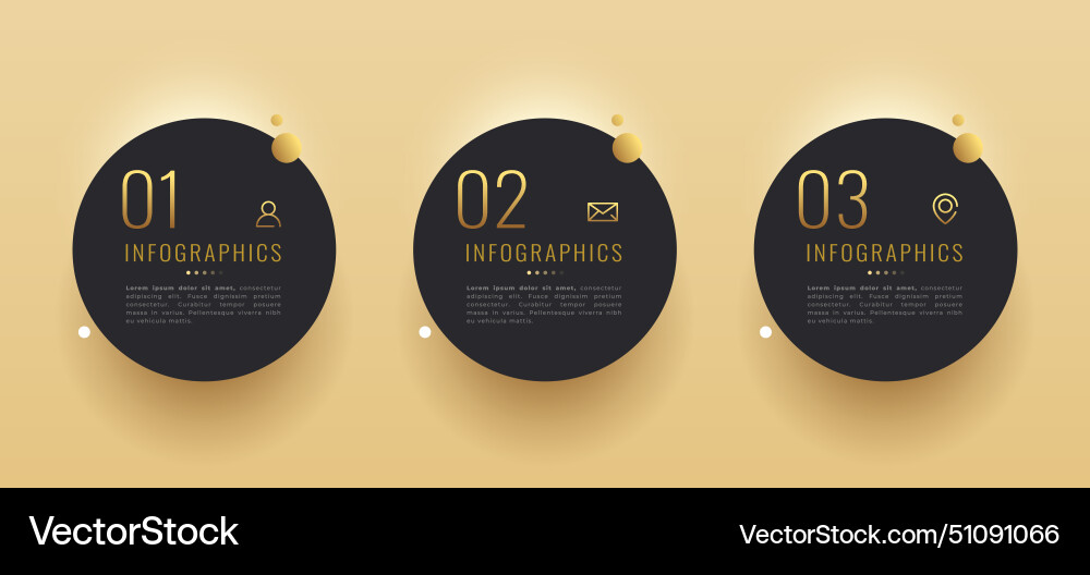 Premium three step option infographic banner Vector Image