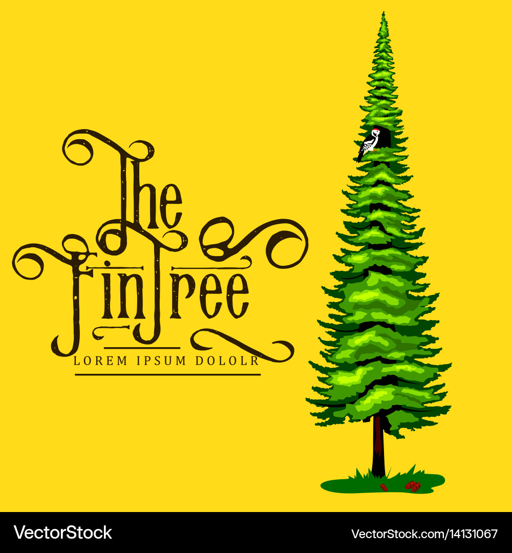 Cartoon isolated fin summer tree on a white Vector Image