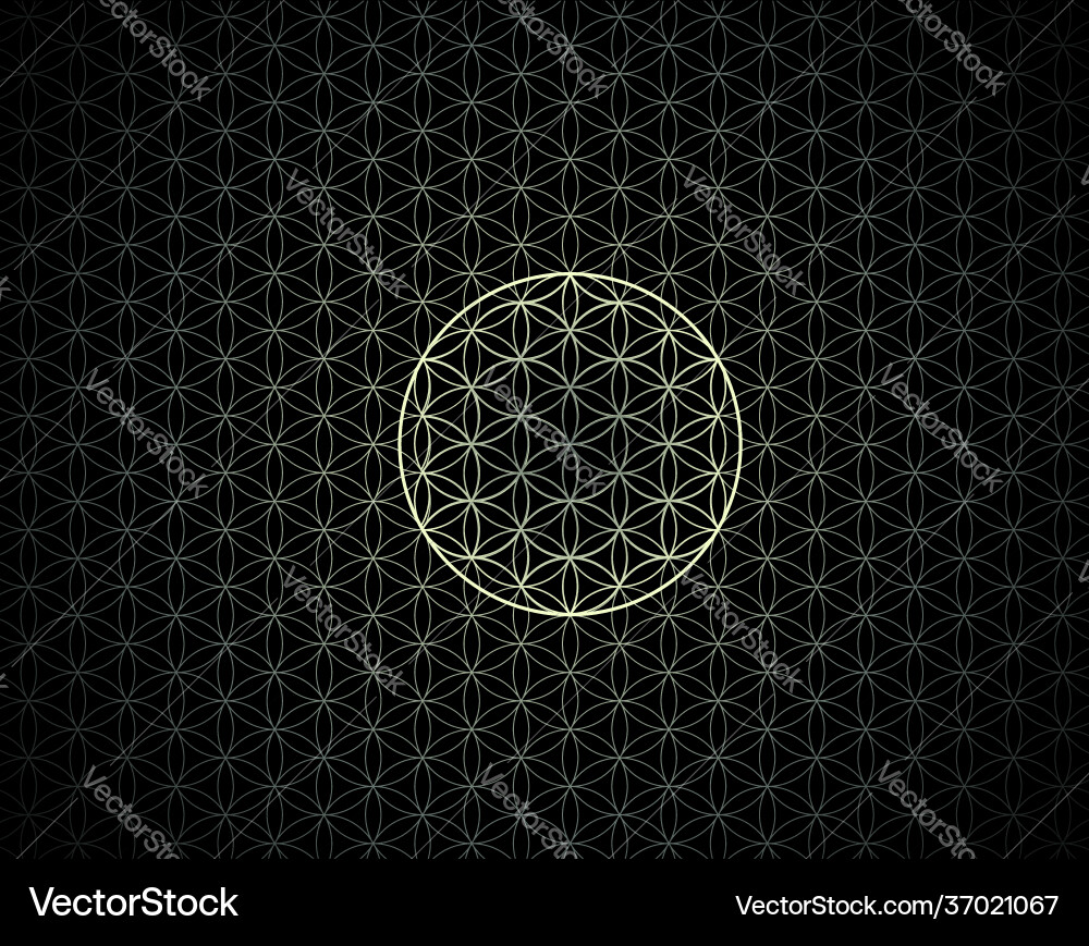 Flower of Life Geometry Royalty Free Vector Image