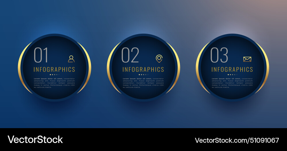 Three options or steps business infographic Vector Image