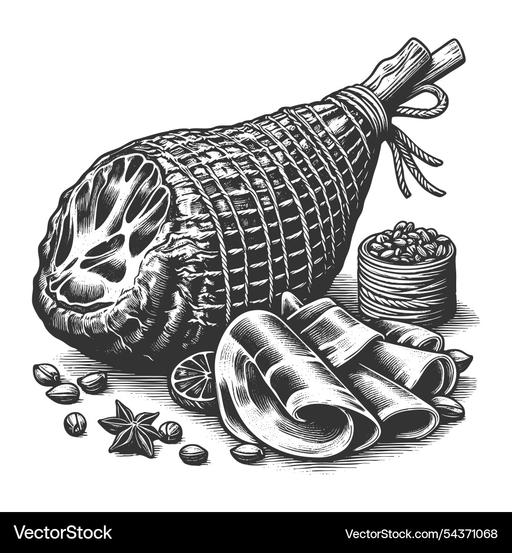 Cured ham with herbs and spices engraving Vector Image