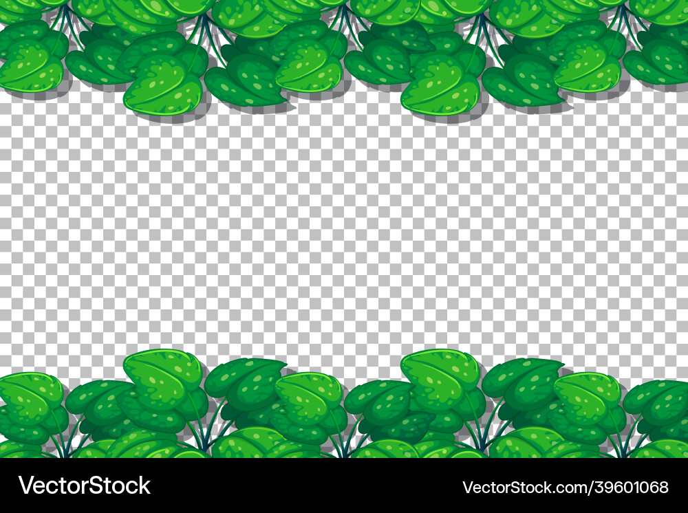 Nature plants frame transparent background Vector Image
