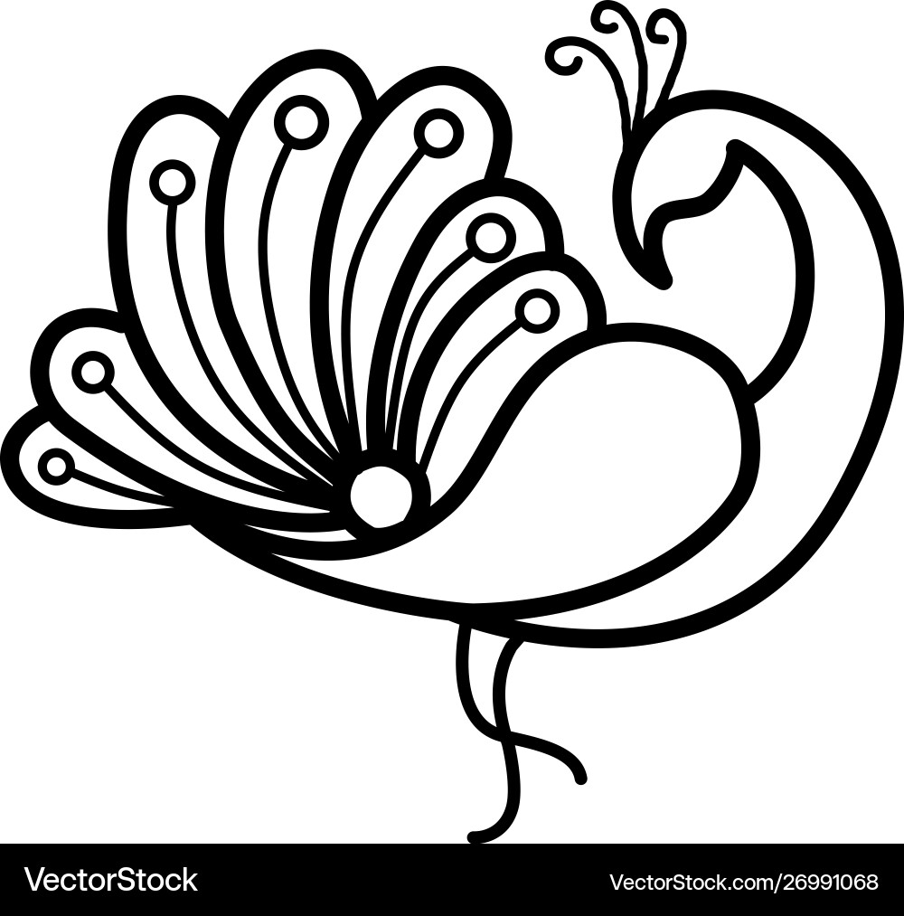Peacock Royalty Free Vector Image - VectorStock