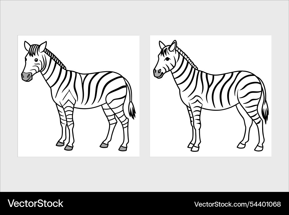 Zebra Line Art Lizenzfreies Vektorbild - VectorStock