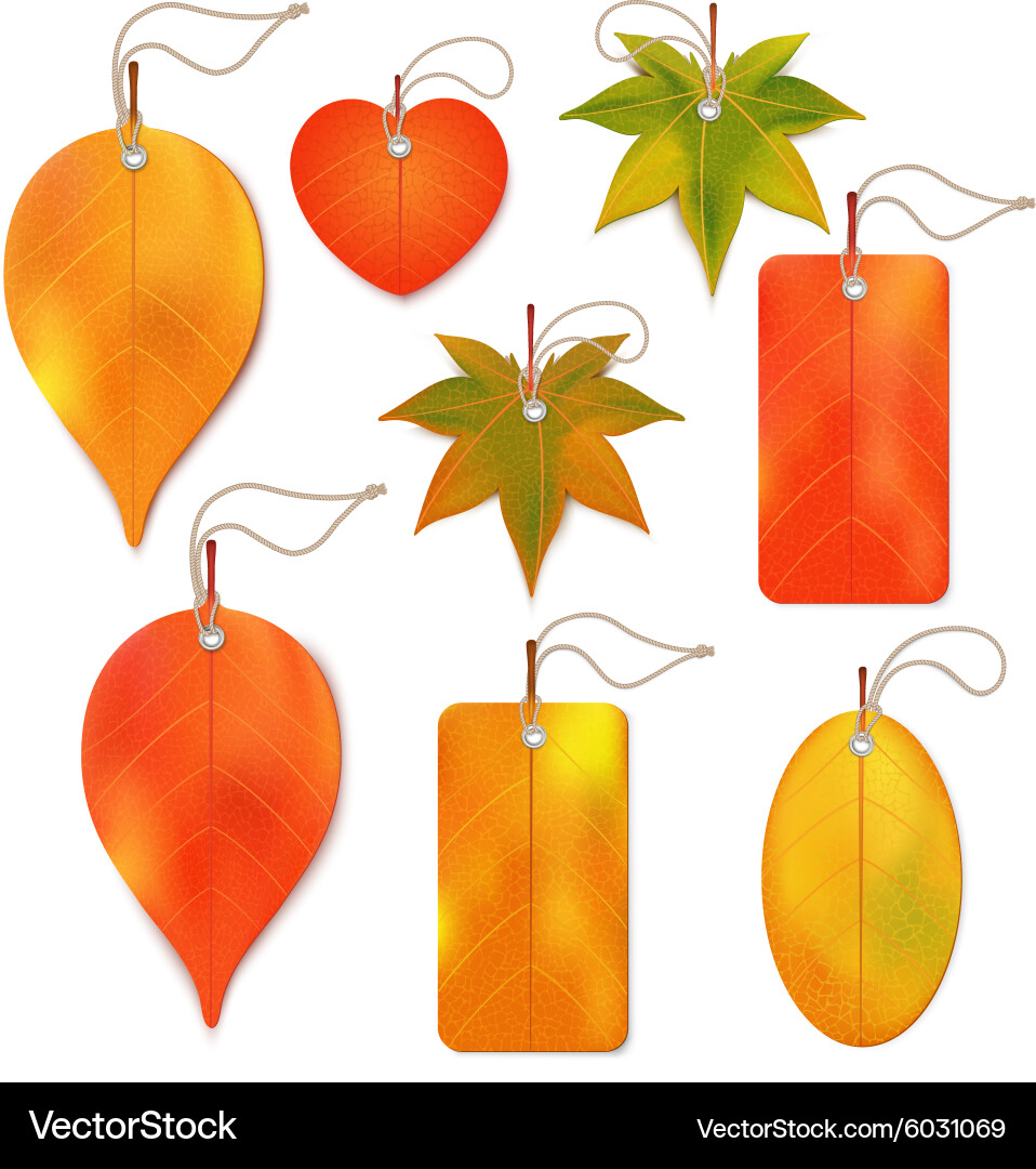 Label tag Royalty Free Vector Image - VectorStock