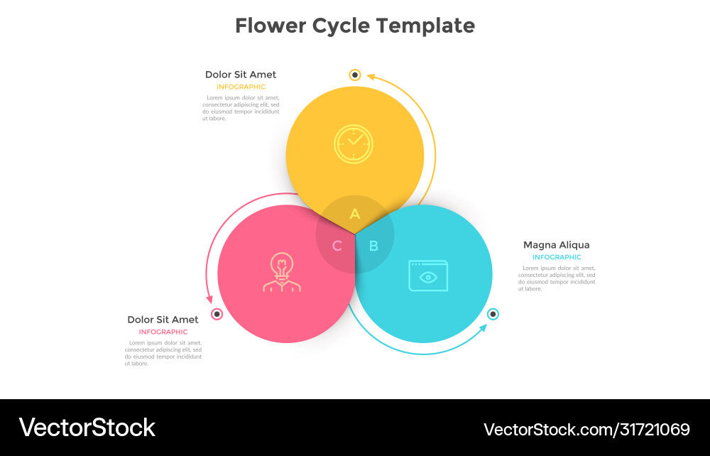 Moderne Info-Optionen Vorlage Lizenzfreies Vektorbild