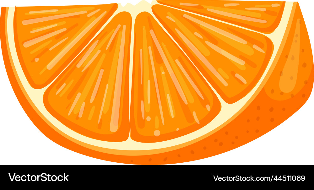Orange slice cartoon Royalty Free Vector Image