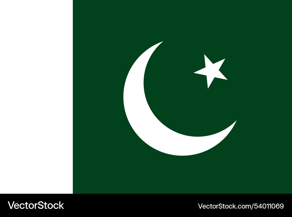 Pakistan flag - simple Royalty Free Vector Image