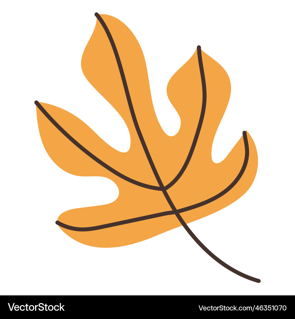 Autumn fig tree leaf cartoon Royalty Free Vector Image