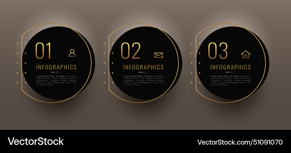 Business infographic premium template with three Vector Image