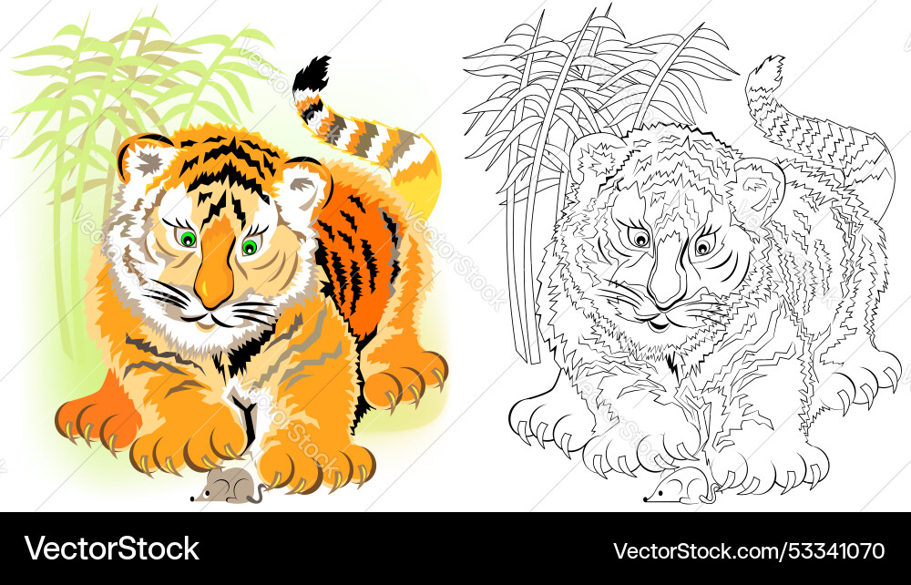 Colorful and black and white pattern for coloring Vector Image