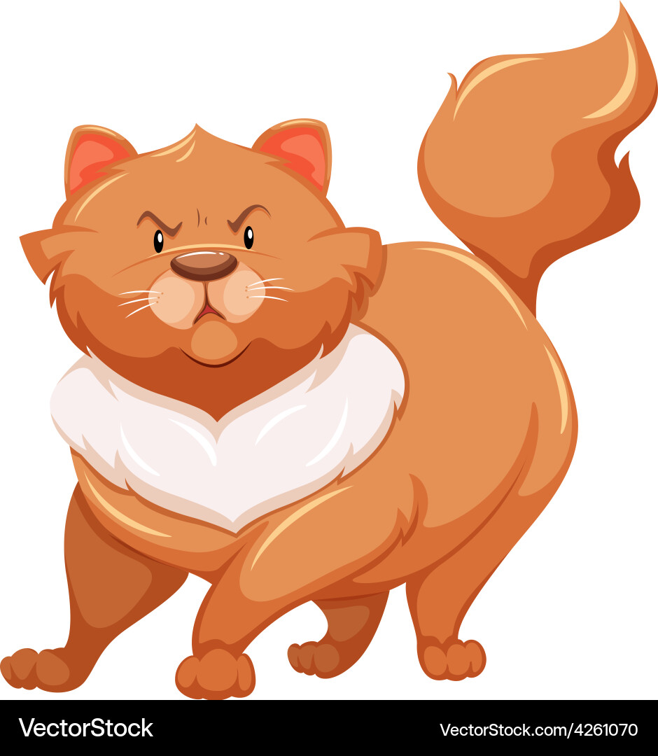 Fat cat Royalty Free Vector Image - VectorStock
