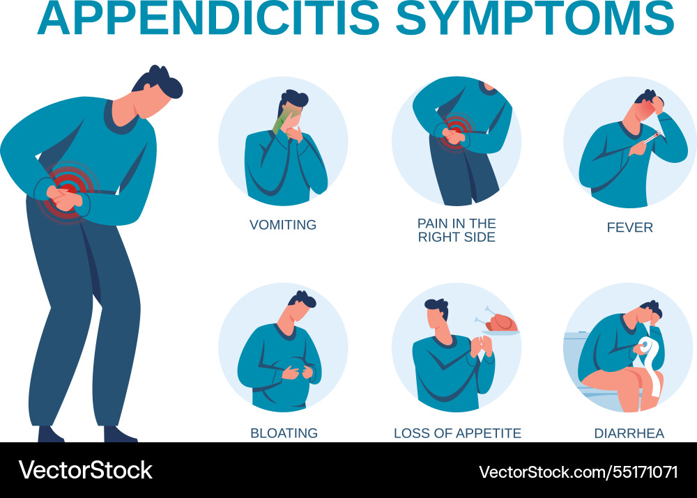 Appendicitis symptoms infographic signs Royalty Free Vector
