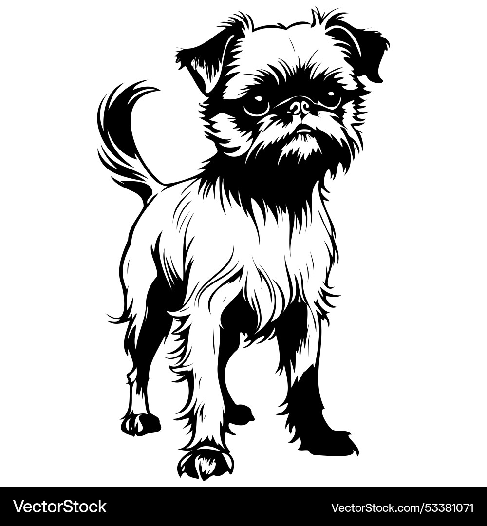 Brussels griffon ink hand drawn animal Royalty Free Vector