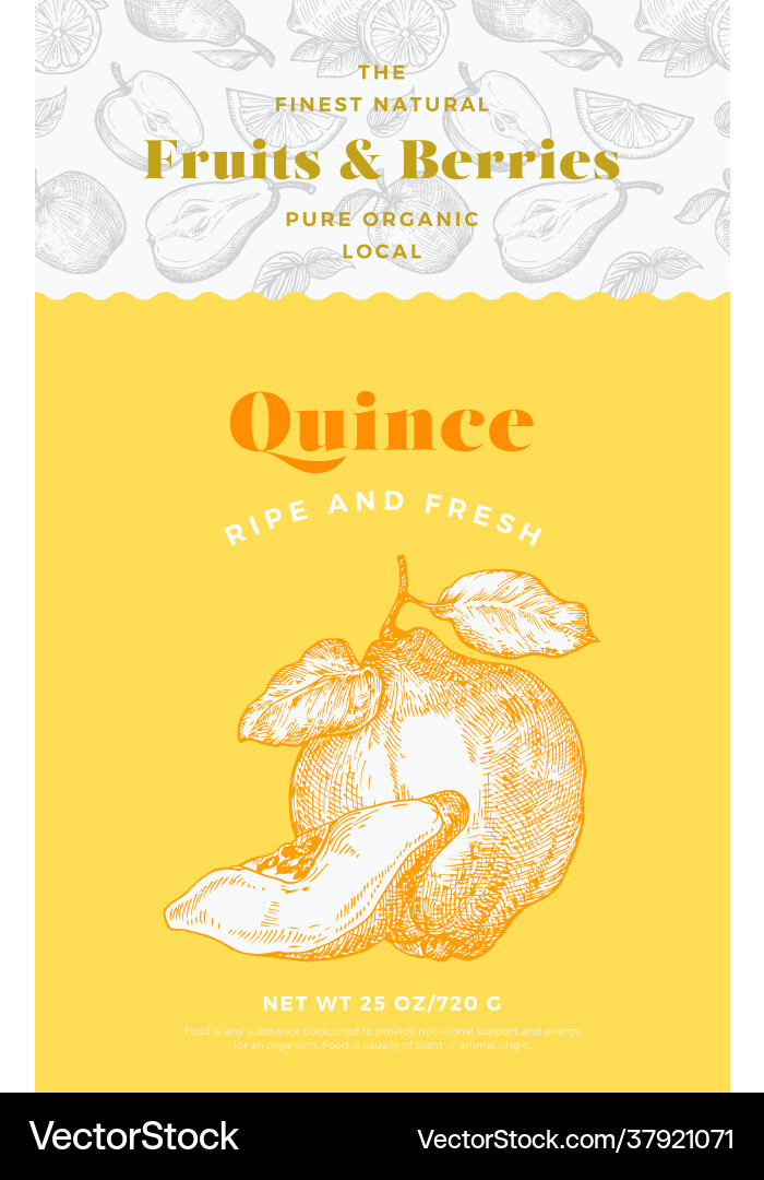 Fruits and berries pattern label template Vector Image