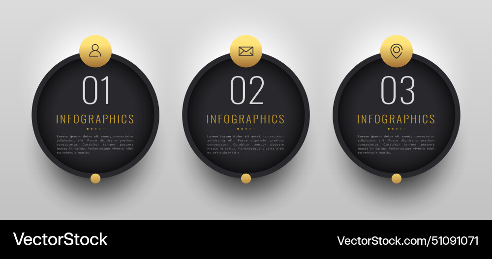 Professional infographic premium banner with 3 Vector Image