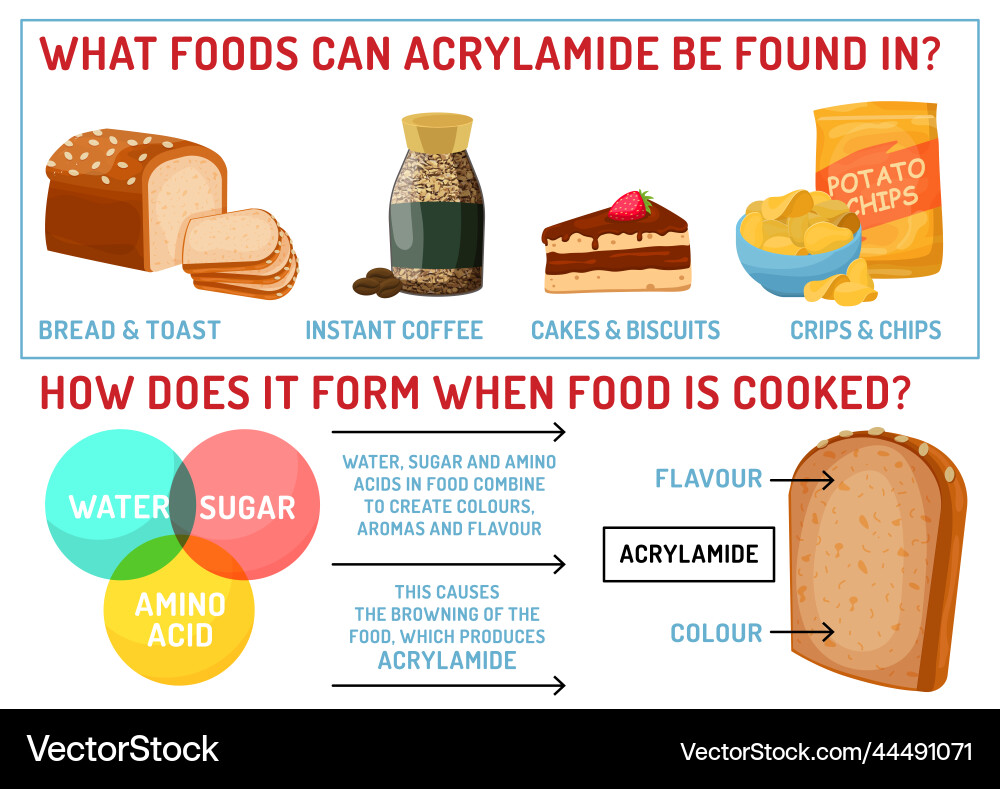 What foods can acrylamide be found Royalty Free Vector Image