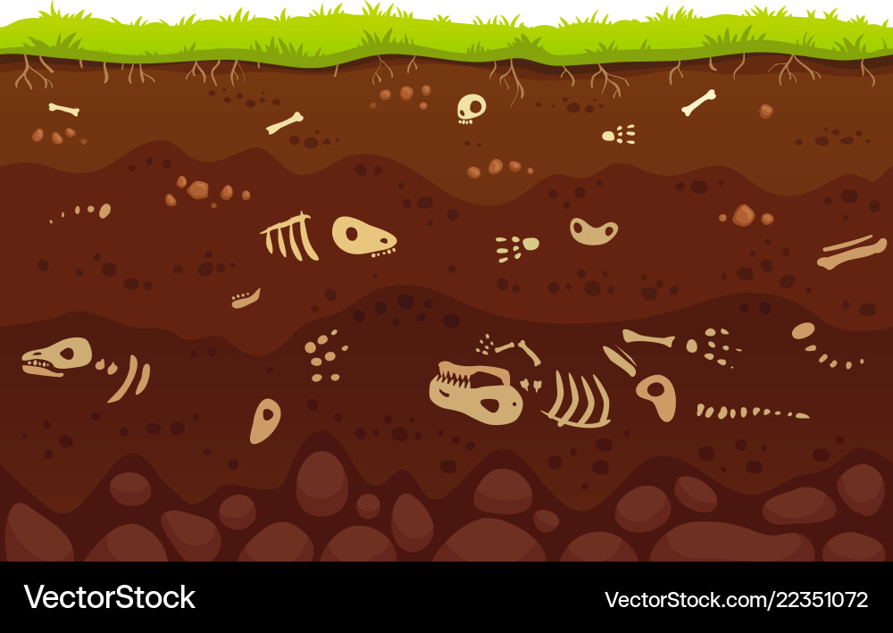 Archeology bones in soil layers buried fossil Vector Image Archeology bones in soil layers buried fossil Vector Image