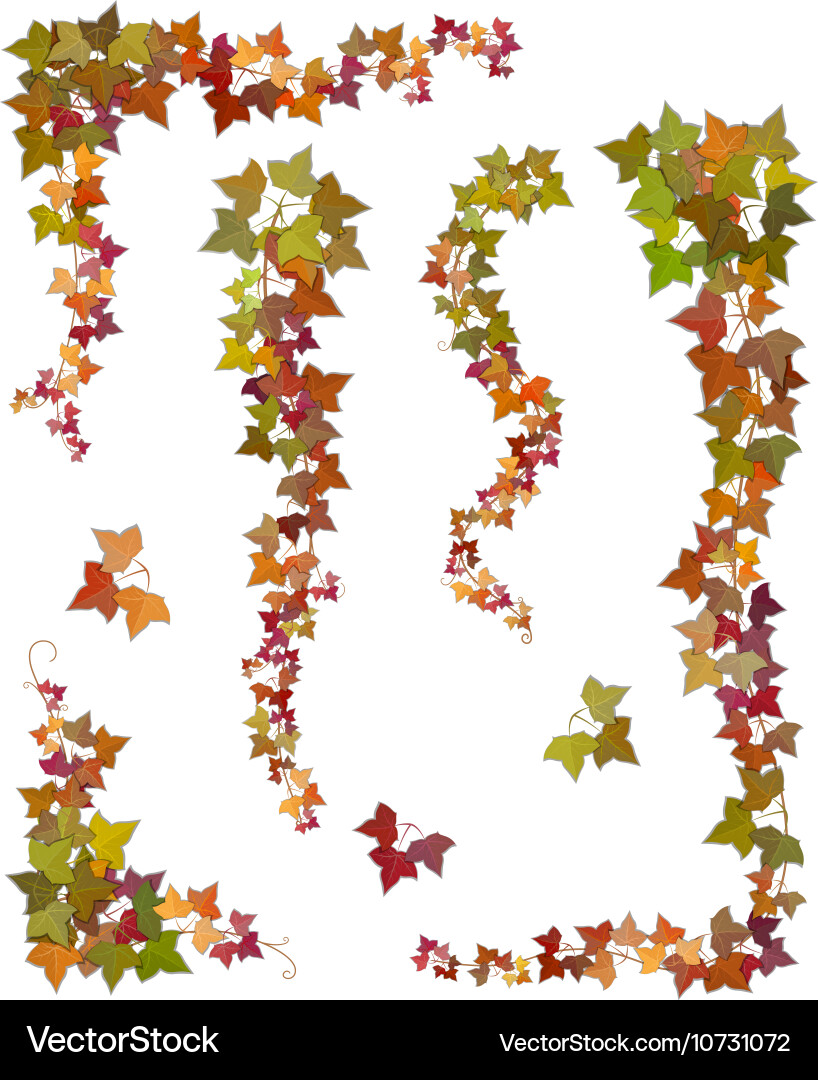 Autumn Ivy Garland Royalty Free Vector Image - VectorStock