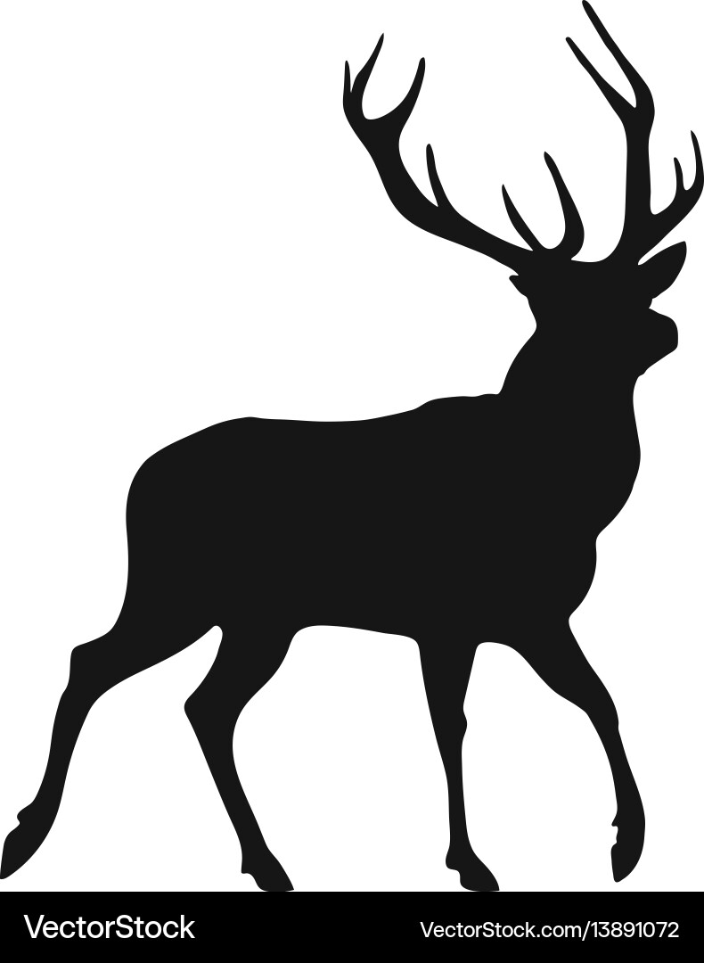 Buck Deer Standing Vector Images (over 390)