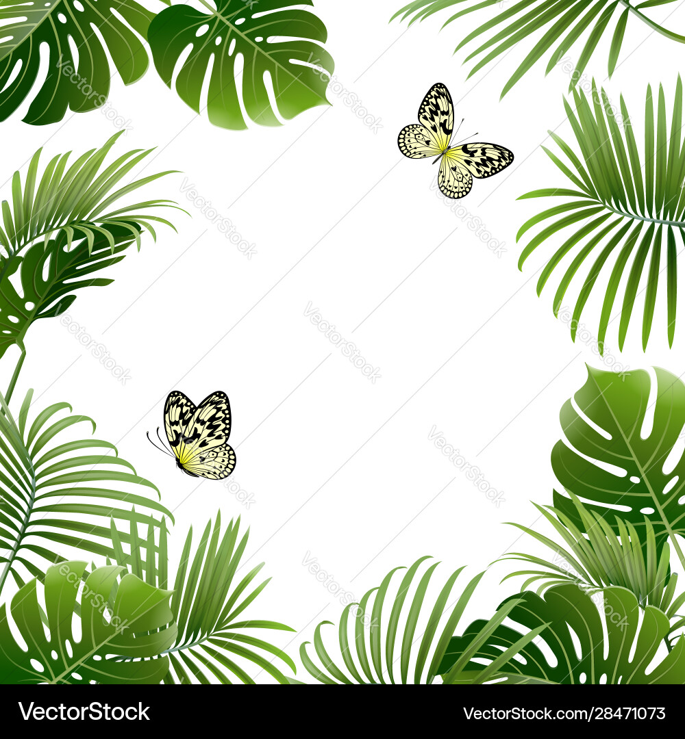 Banner tropical plants and butterflies Royalty Free Vector