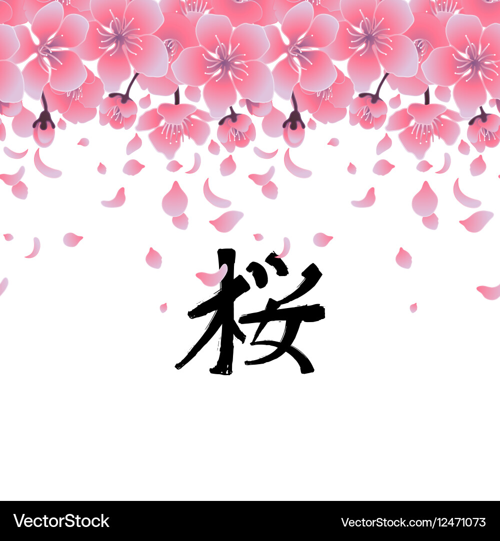 Graphic sakura flowers Royalty Free Vector Image