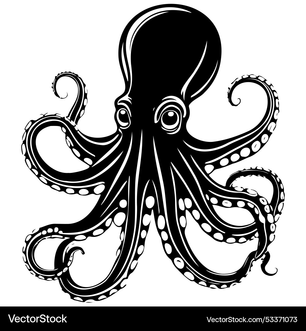 Octopus isolated hand drawn line transparent Vector Image