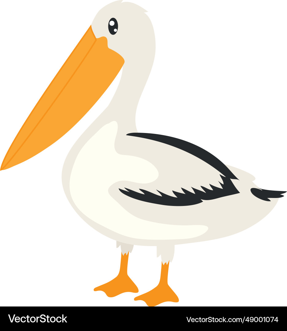 Pelican design Royalty Free Vector Image - VectorStock