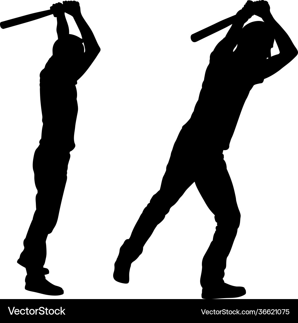 Bat fight Royalty Free Vector Image - VectorStock