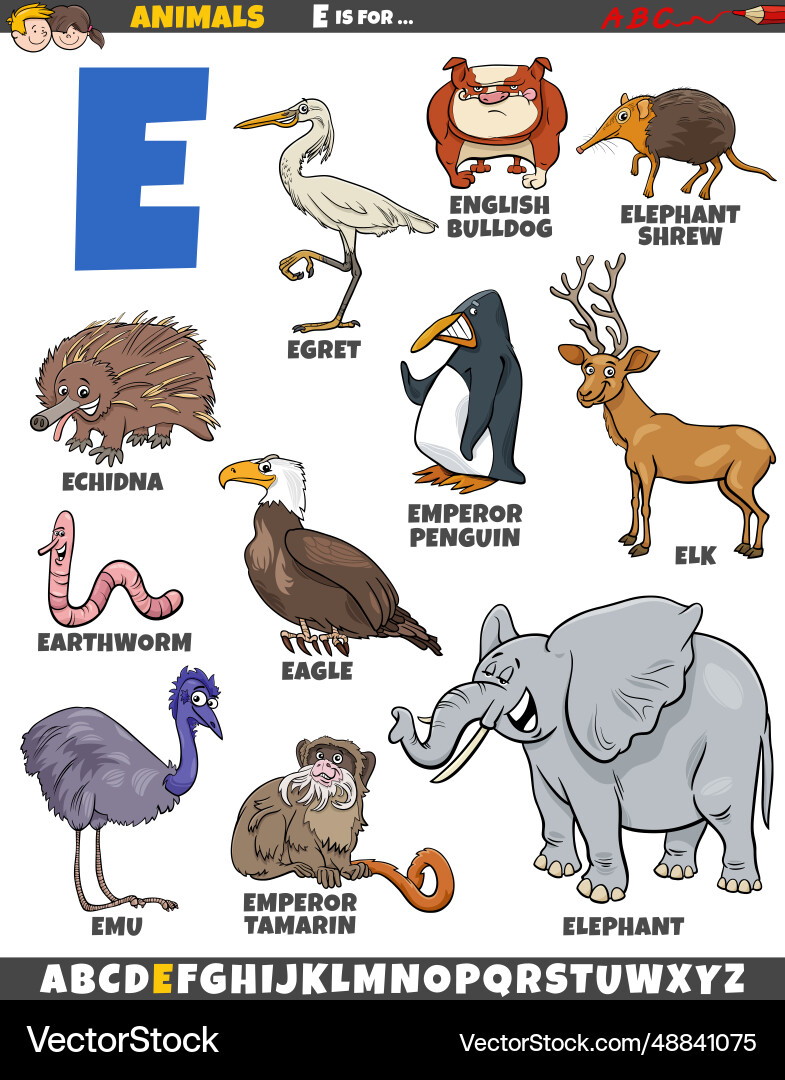 Cartoon animal characters for letter e Royalty Free Vector