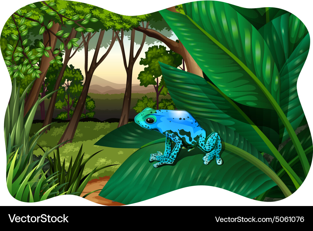 Blue frog Royalty Free Vector Image - VectorStock