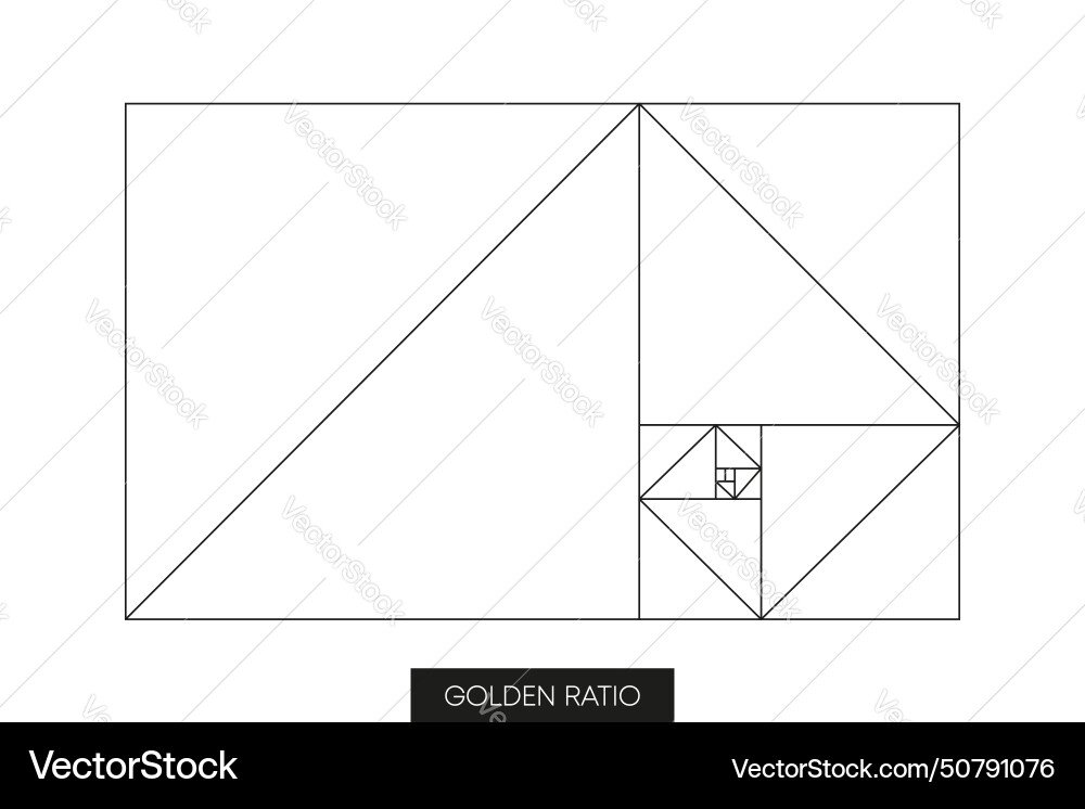 Golden ratio figure in proportion Royalty Free Vector Image