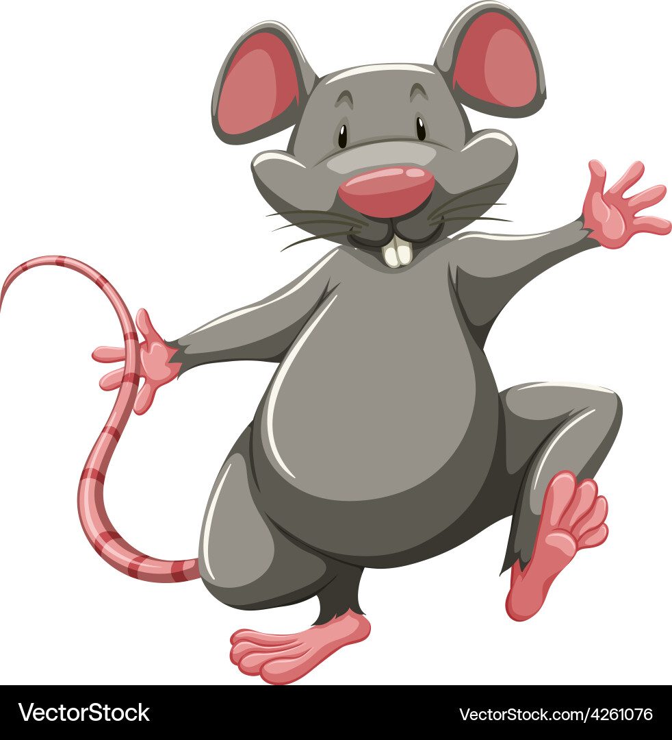 Gray rat Royalty Free Vector Image - VectorStock