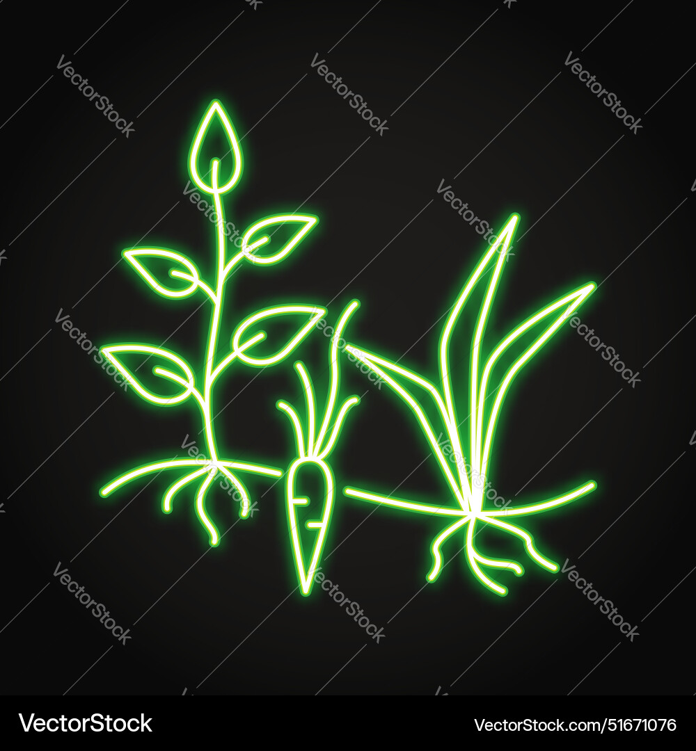 Plants diversity neon line icon Royalty Free Vector Image