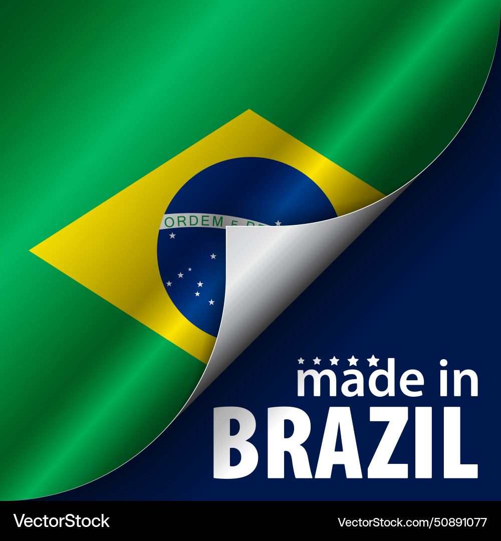 Made in brazil graphic and label Royalty Free Vector Image