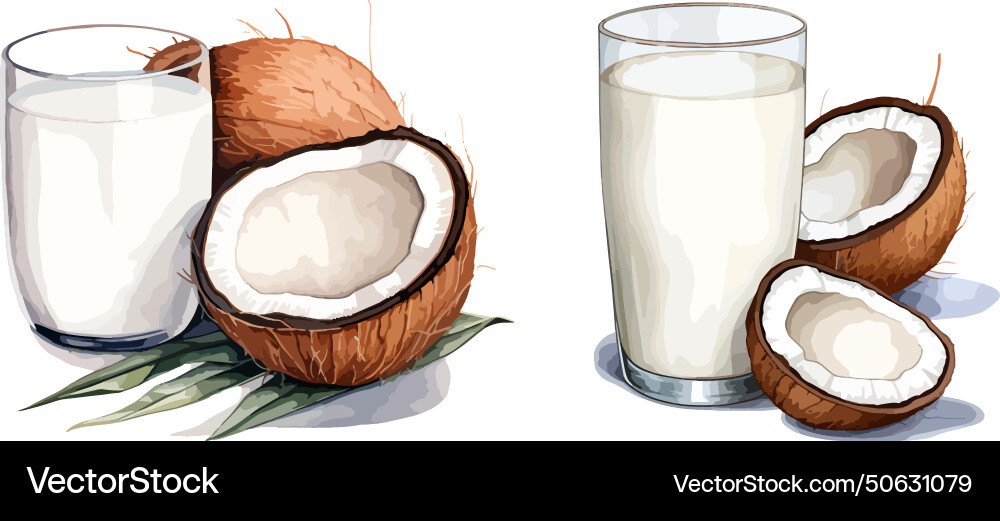 Coconut milk clipart with isolated Royalty Free Vector Image