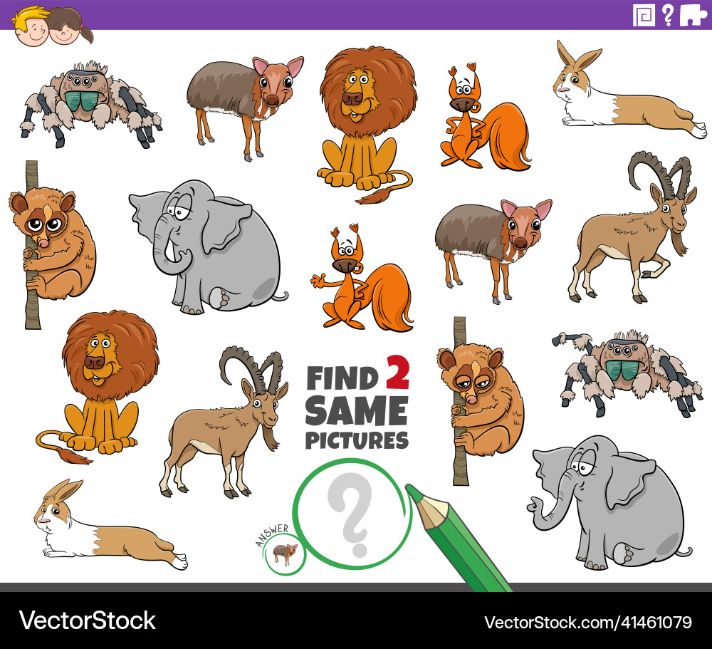 Find two same cartoon wild animals educational Vector Image