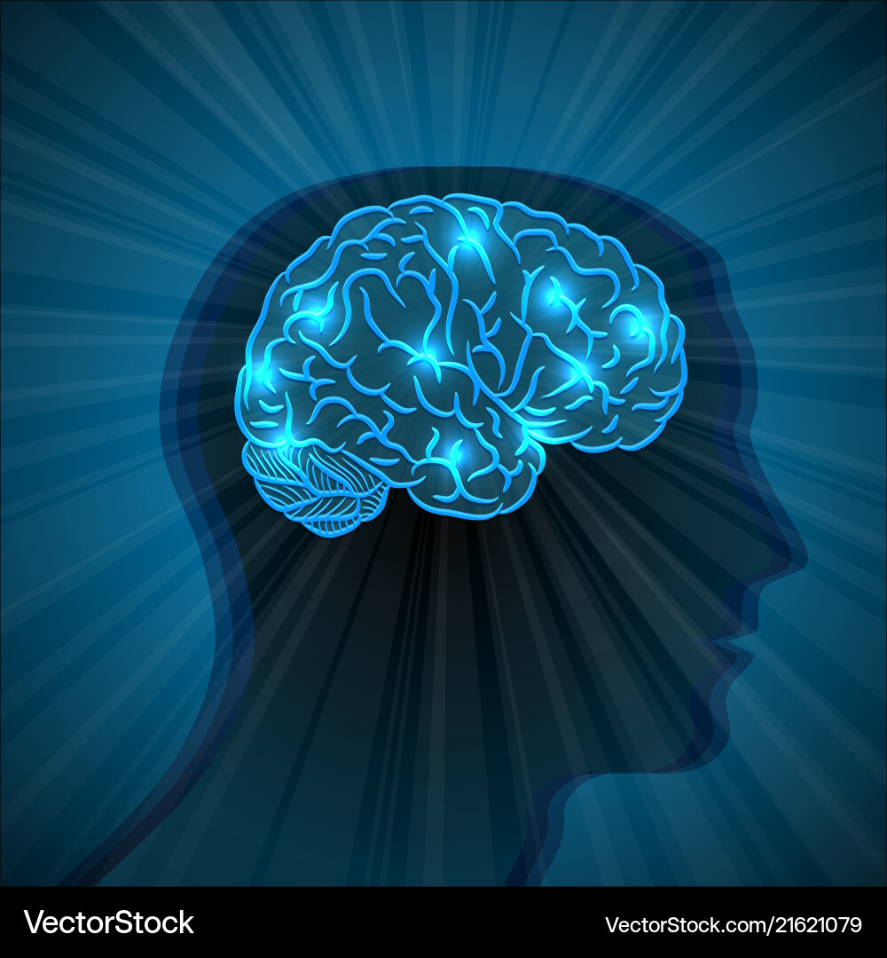 Human head and brain Royalty Free Vector Image