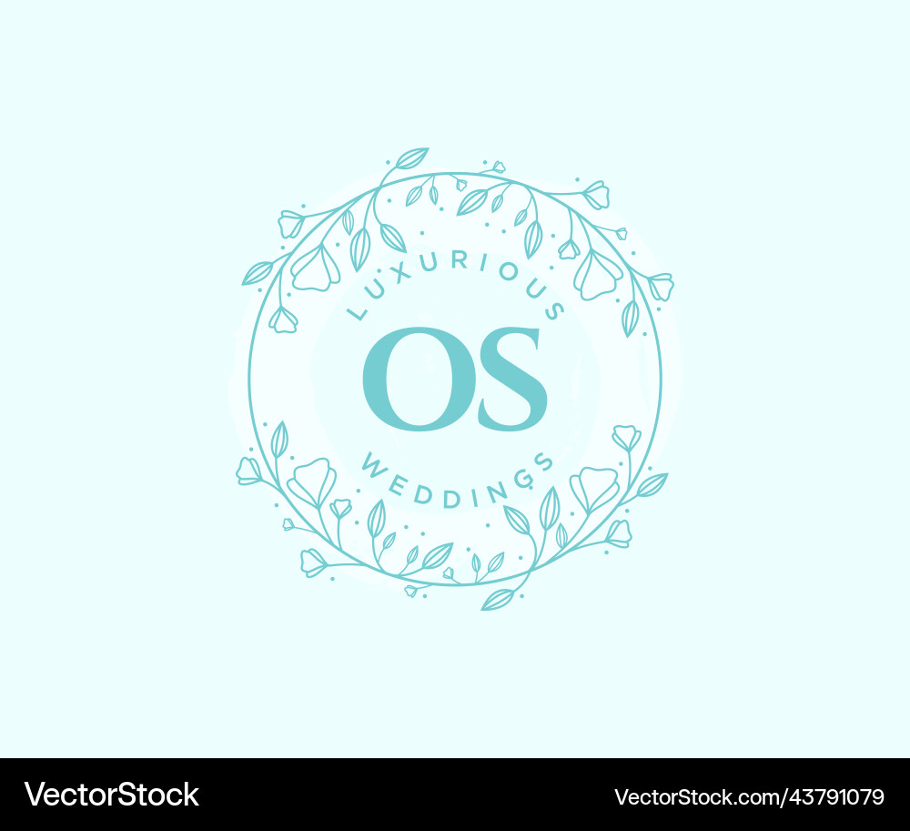 Os initials letter wedding monogram logos Vector Image