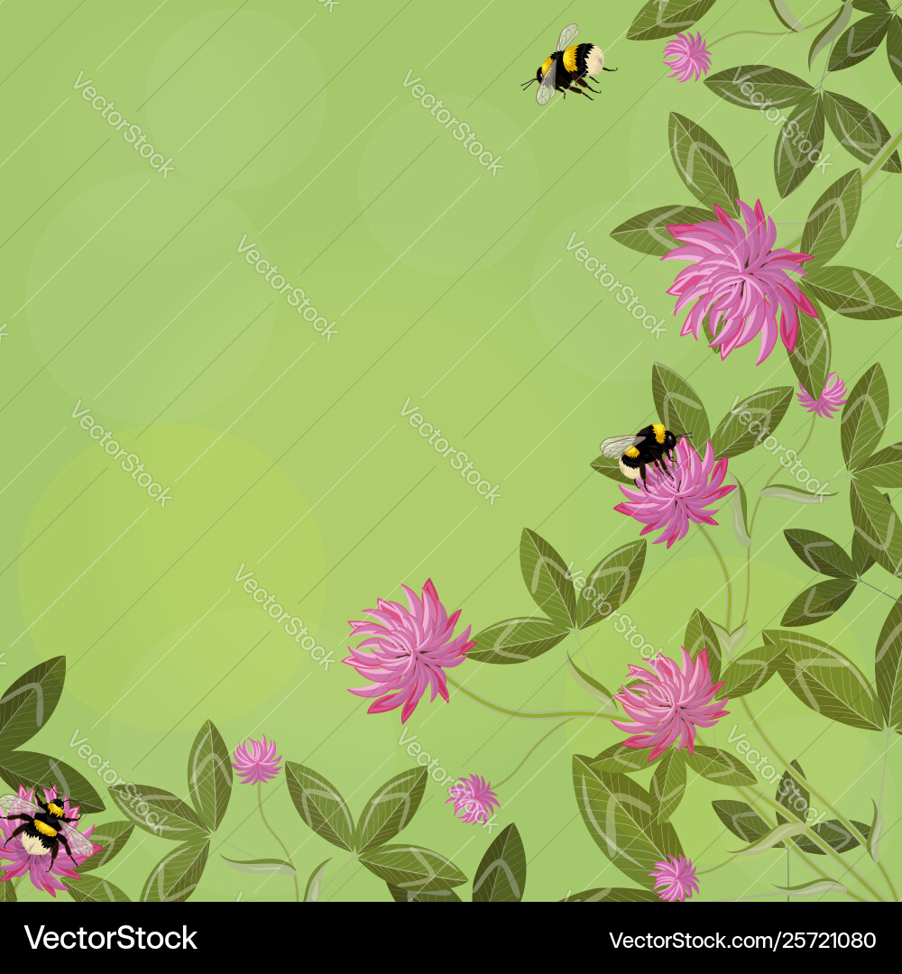 Corner border clover leaves flowers Royalty Free Vector