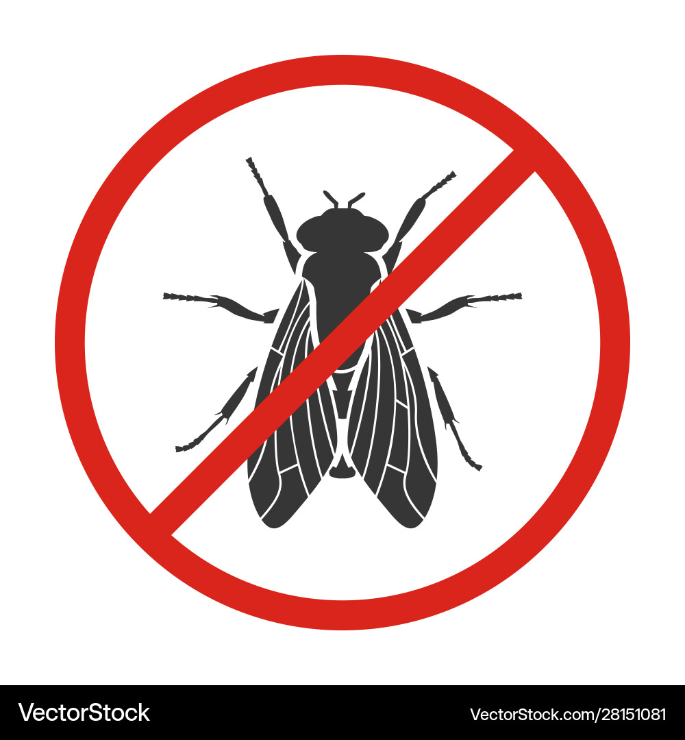 Insect fly iconblack icon isolated Royalty Free Vector Image