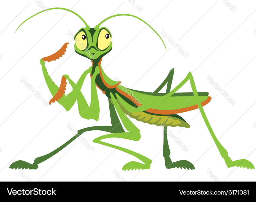 Mantis Royalty Free Vector Image - VectorStock