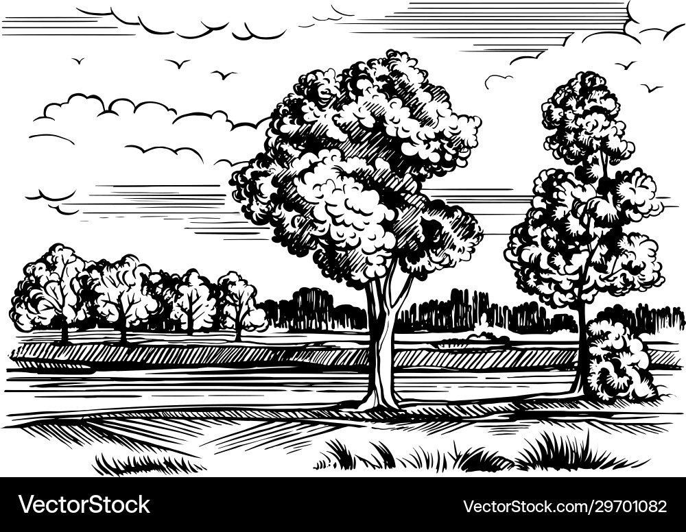 Riverbank Sketch Royalty Free Vector Image - VectorStock