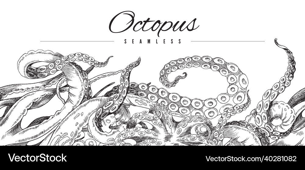 Seamless octopus pattern horizontal border black Vector Image