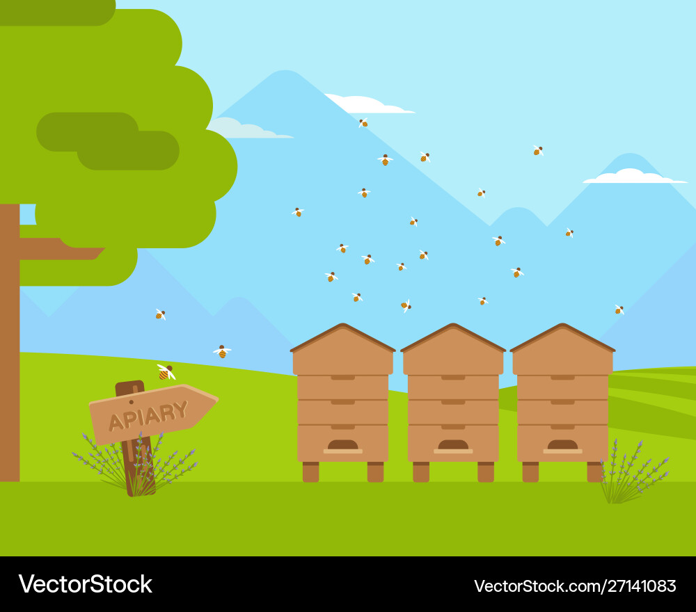 Beehive Apiary Landscape Royalty Free Vector Image