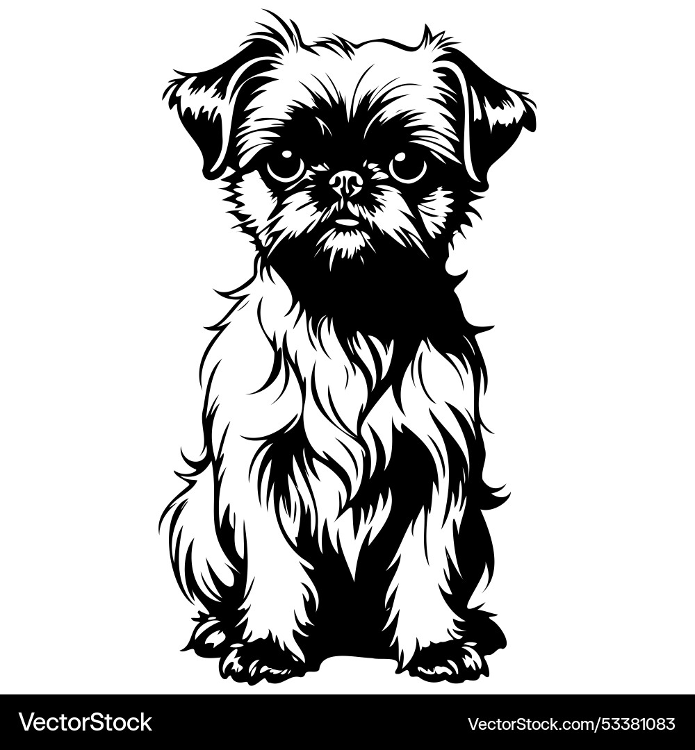 Brussels griffon portrait vintage hand drawn Vector Image