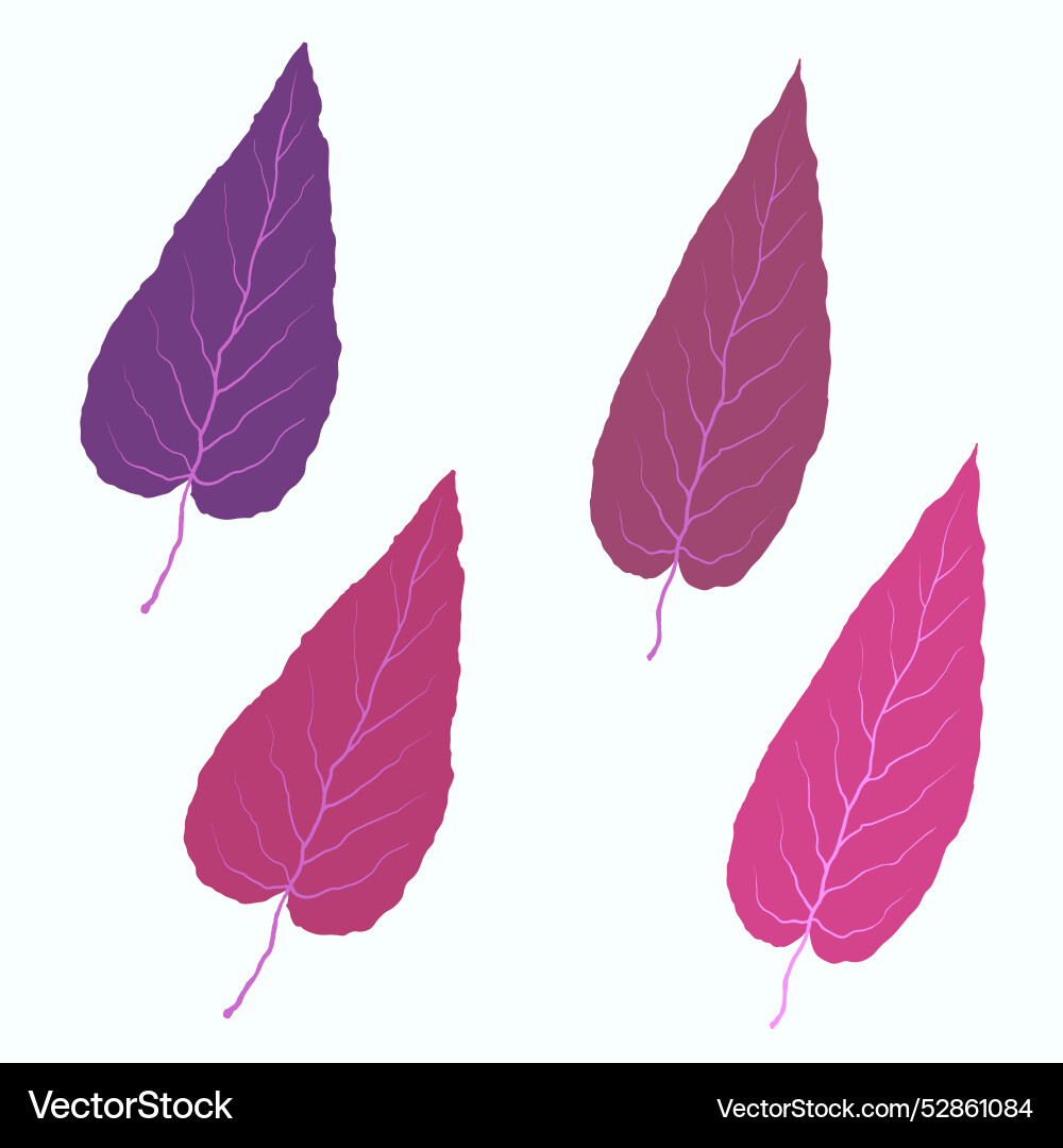 Autumn leaves on white background Royalty Free Vector Image
