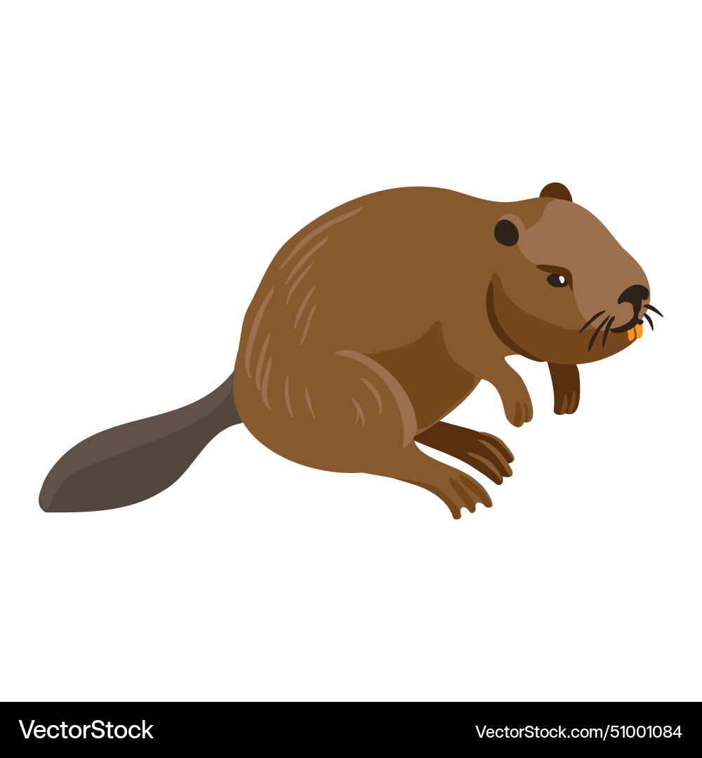 Drawing beaver animal Royalty Free Vector Image