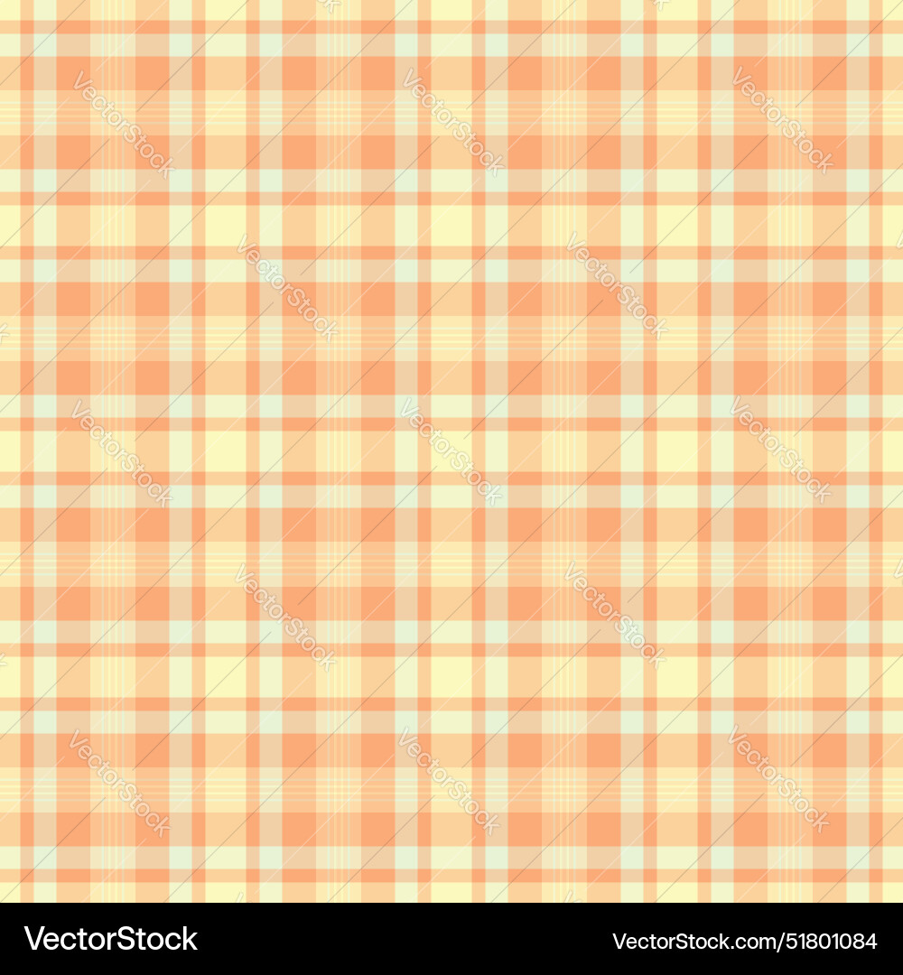 Madras fabric tartan texture popular background Vector Image